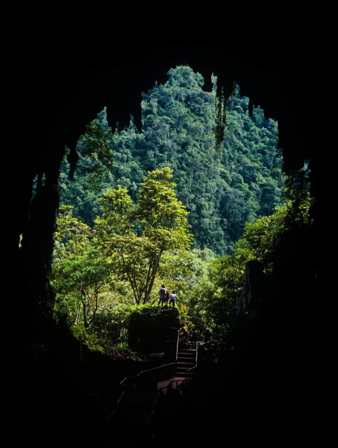 Parque Nacional Tingo María mejor destino sostenible en Berlín