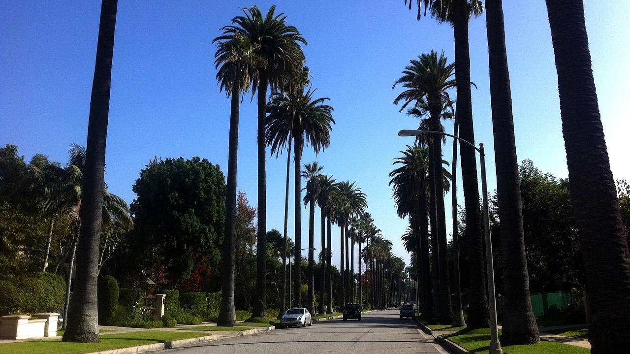 Beverly Hills: ¿Qué hacer en el destino internacional de lujo”?