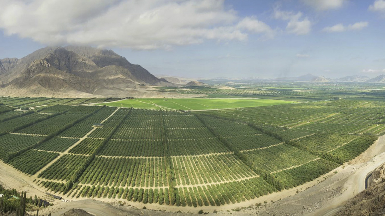 Grupo Virú adquirirá la empresa estadounidense Superior Foods International