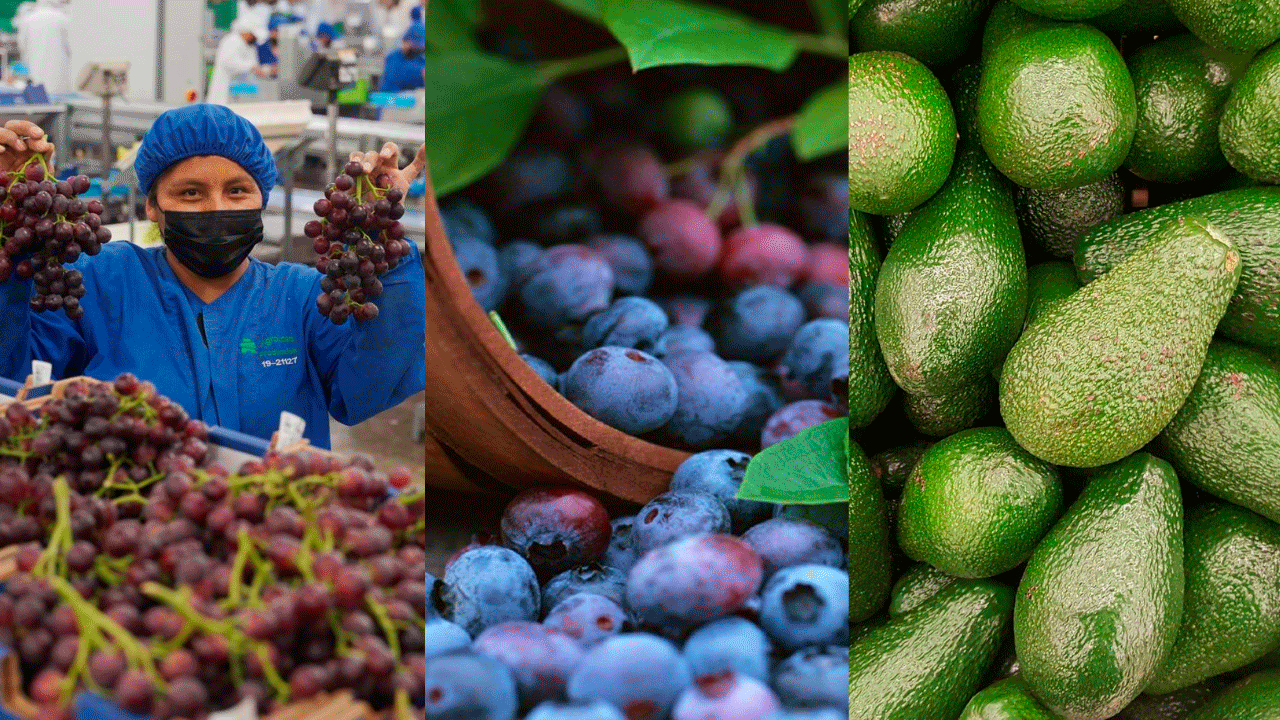 De exportación: Perú cuenta con 115 productos 'prometedores' en el ...