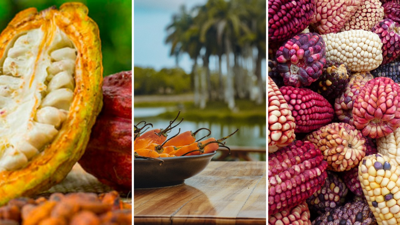 Cocina peruana destaca como la décima mejor del mundo