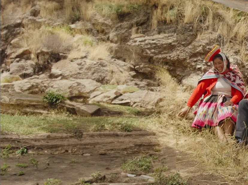 Esta iniciativa peruana que busca sembrar 30 millones de árboles en ...