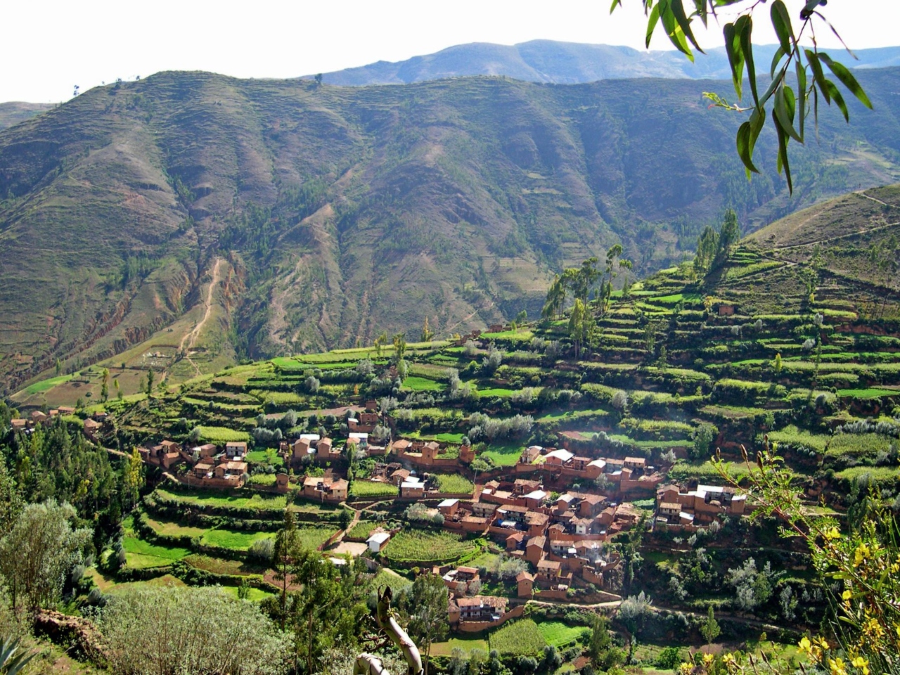Gobierno anunció que recuperará miles de hectáreas de andenes en once ...